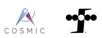 Function Point counting - compared with other approaches